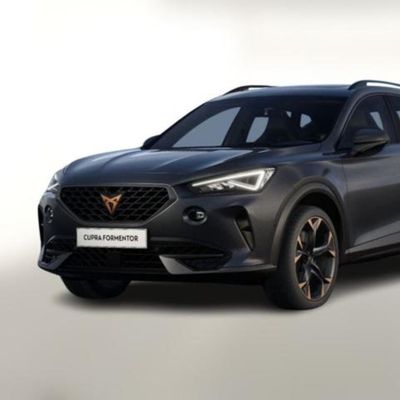 Cupra Formentor Benzinas Pilka | ID:8432b1 | Caramba
